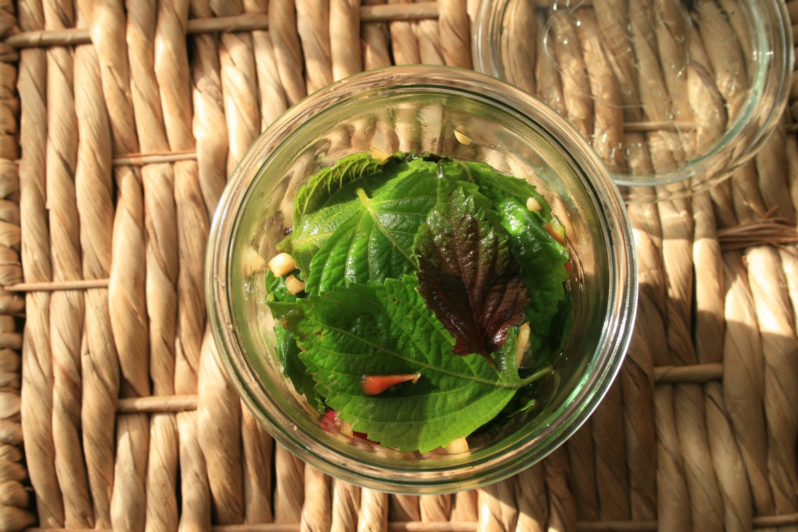 Marinated Shiso – Dear Juneberry…